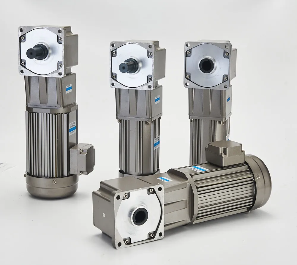 Taili AC Right Angle Gear Motor - High Torque & Low Noise