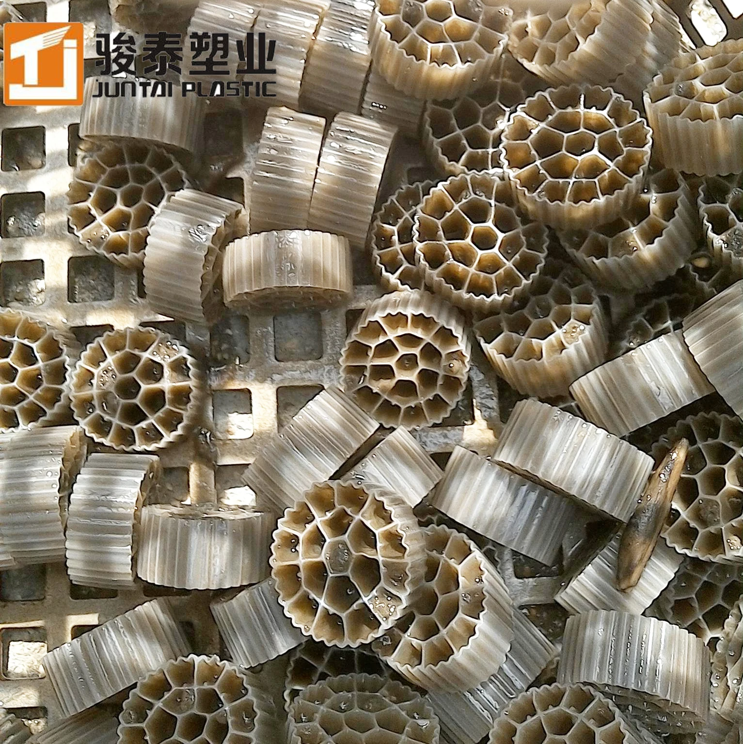 China MBBR Design Biochips Mbbr Media Suppliers, Manufacturers, Factory ...