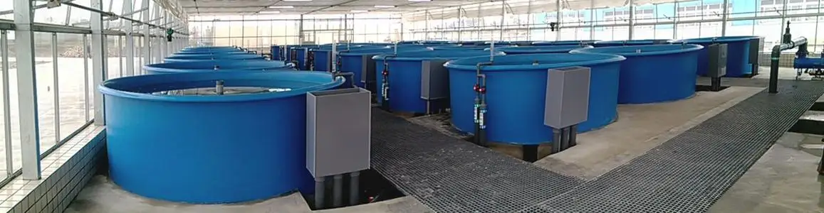 China MBBR Design Biochips Mbbr Media Suppliers, Manufacturers, Factory ...