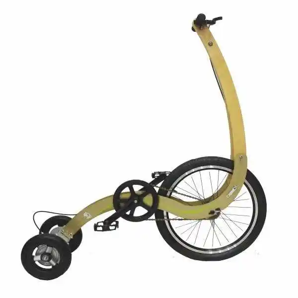 20 Inch Uniquely Designed Standing Bike Three-Wheeled Stand-Up Half ...