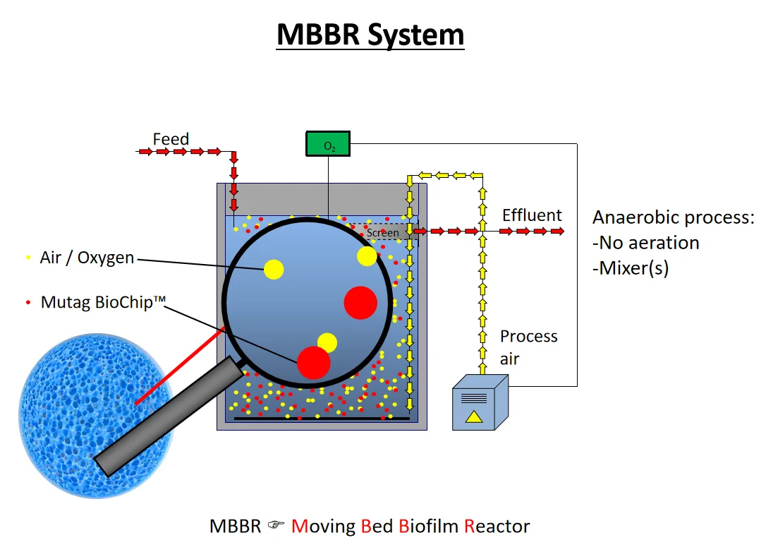 Mutag Biochip - Efficient Biomedia for Wastewater Treatment