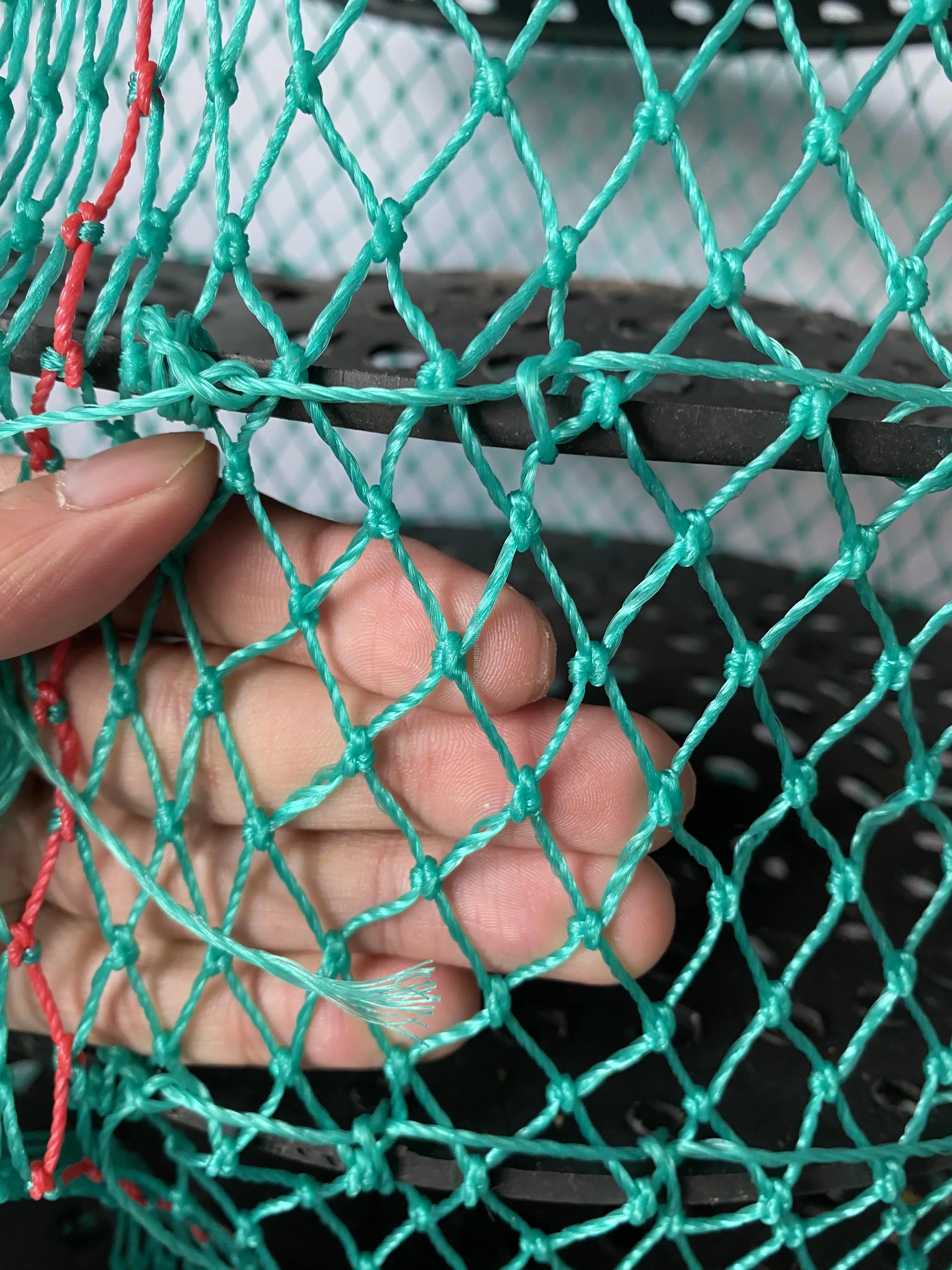 18 Layers Of Hand-processed Farmed Scallops Aquaculture Cage/ Lantern ...