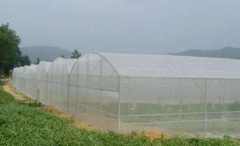 50 Mesh Anti Insect Netting for Farm Use - Durable & UV Stabilized