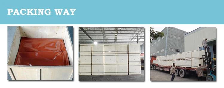 Small Size Gas Storage Balloon Biogas Bag Biodigester System
