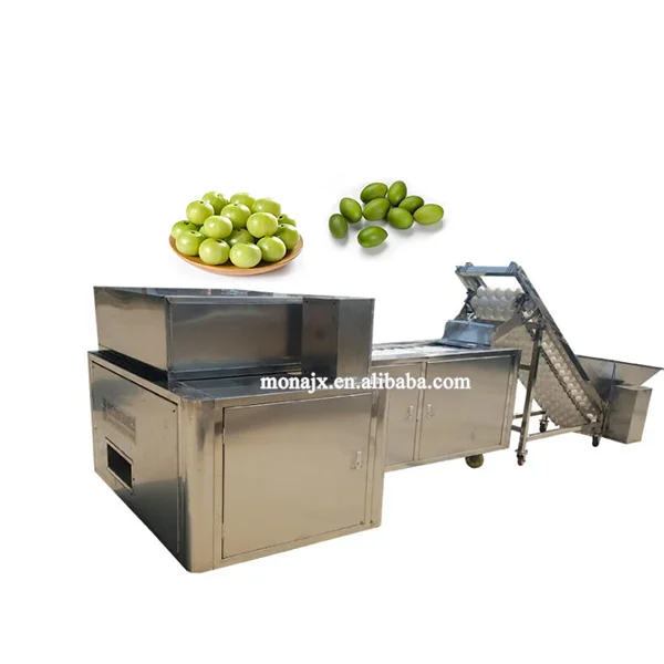 Dates Size Sorter Machine / UAE Date Palm Sorting Machine / Dates ...