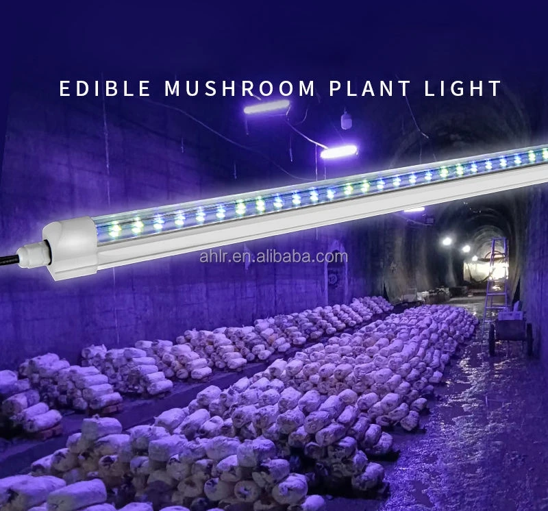 220v Edible Fungus Growth Light Mushroom Greenhouses With Led ...