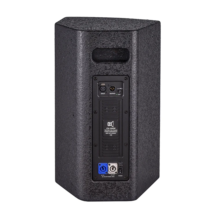 CVR 10 Inch Full Range Sound System - Powerful & Customizable