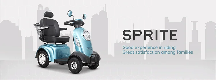 SPRITE-2 Electric Tricycle - 150kg Load-Bearing & Magnetic Brake