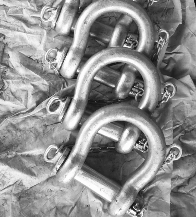 Type B Black Paint Buoy Shackle - Heavy Industry & Marine