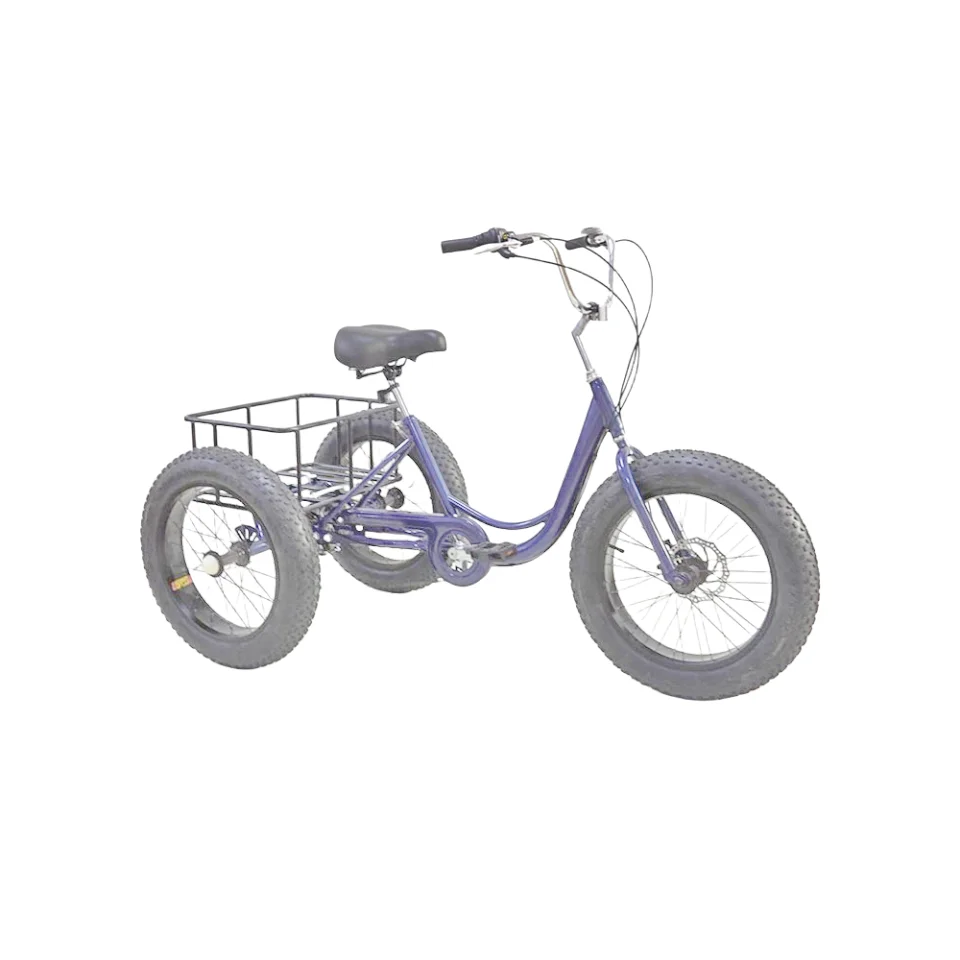 20-inch Fat Tire 3 Wheel Electric Bike With Disc Brake