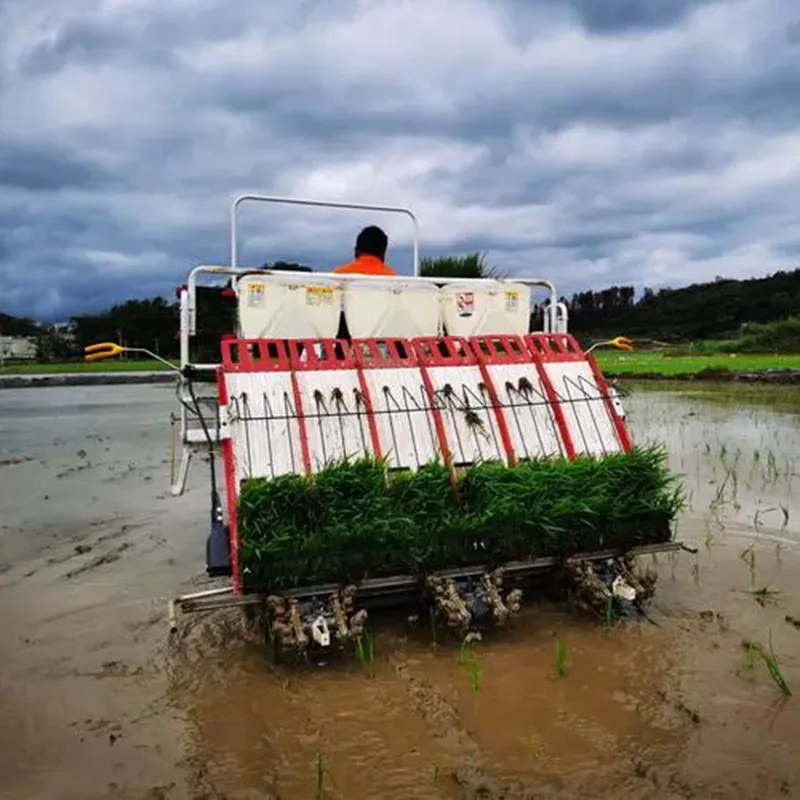 Paddy Transplanter 4 and 6 Rows Rice Seedling Trays Planter Diesel ...
