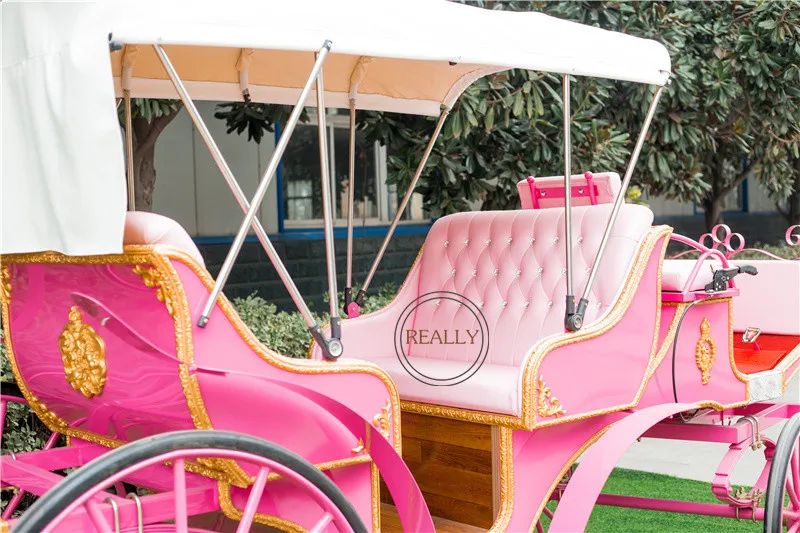 Princess Cinderella Pumpkin Car Luxe Paard Chariot Cheval