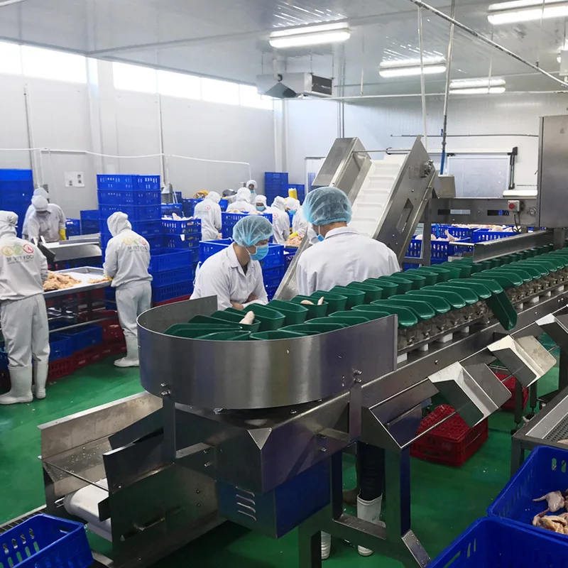 Chicken Butchery Processing Equipment Chicken Slaughtering Machine In ...