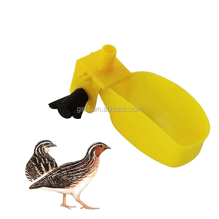 Pvc Quail Waterer at John Heidt blog