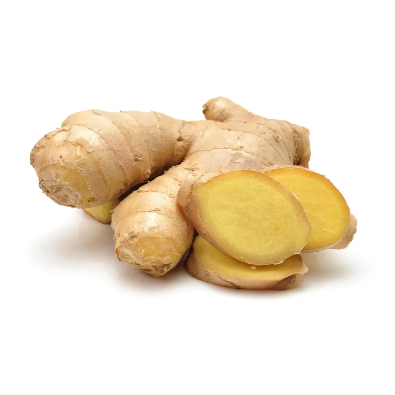 Young Ginger Fresh Vegetable Top Quality Hot Selling Cheap Price Low ...