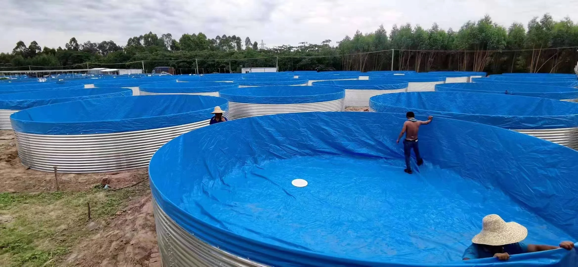 Galvanized Sheet Support Fish Pond With Pvc Liner Circular Fish Farming ...