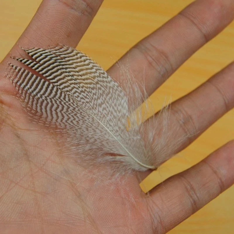 Natural Barred Mallard Duck Flank Feathers for Fly Tying