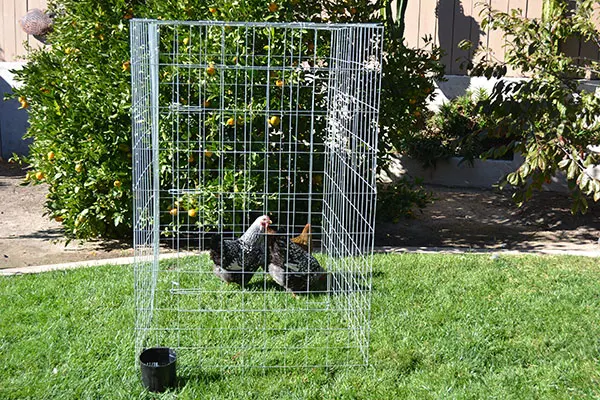 Galvanized Fly Pen/galvanized Square Pen - Buy Chicken Pens,Galvanized ...