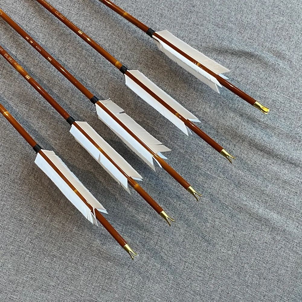 Alibow 100% Pure Carbon Arrows - Precision and Durability