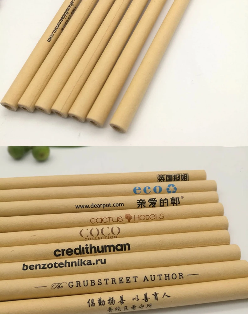 100% Biodegradable Pens Eco Friendly Kraft Pen Custom Environmental ...