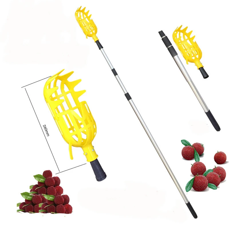 Fruits Berry Picker Blueberry Strong Metal Handle Berry Pickers ...