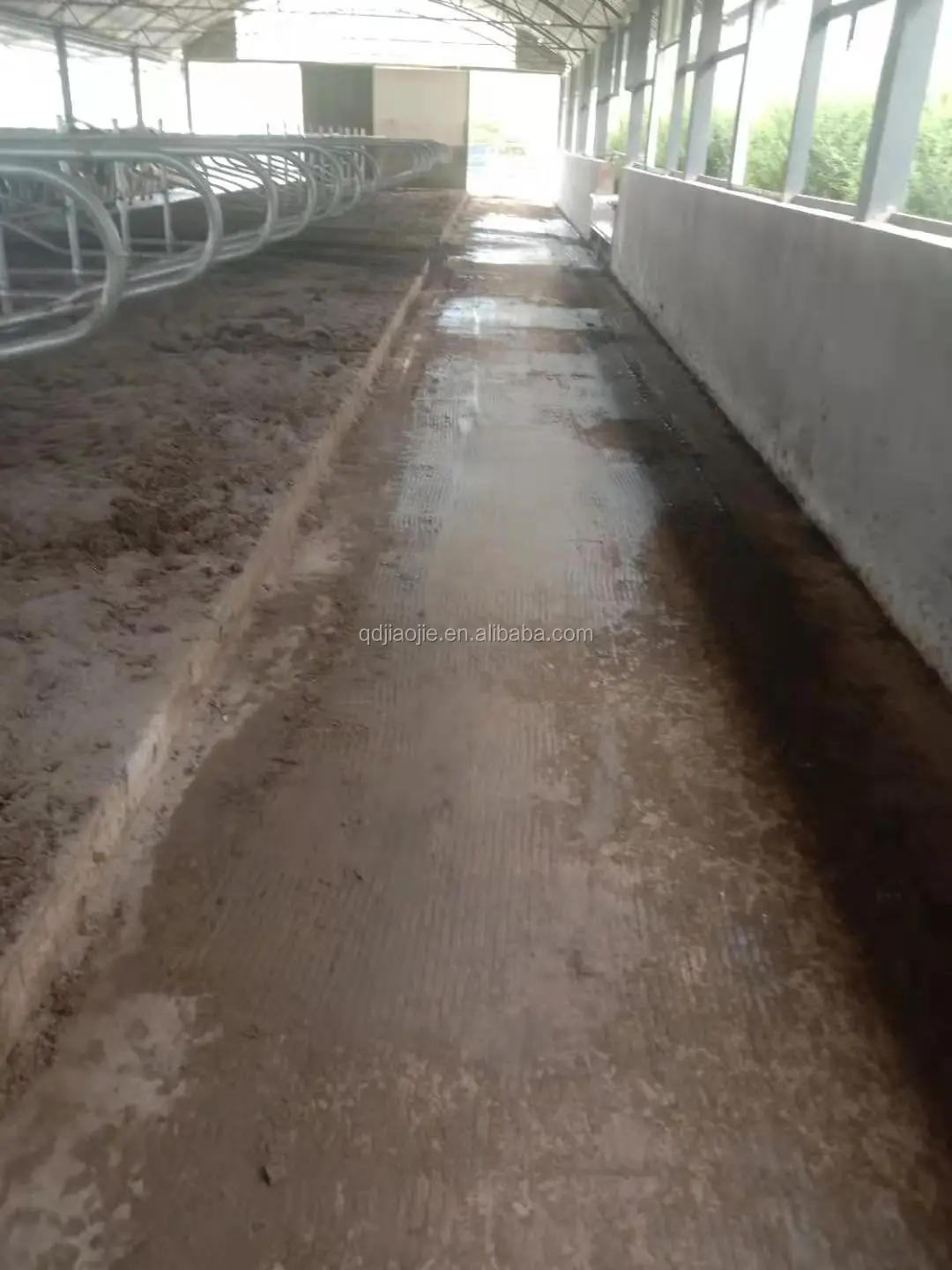 Cow Dung Cleaner Manure Collector - Automatic Shed Cleaning