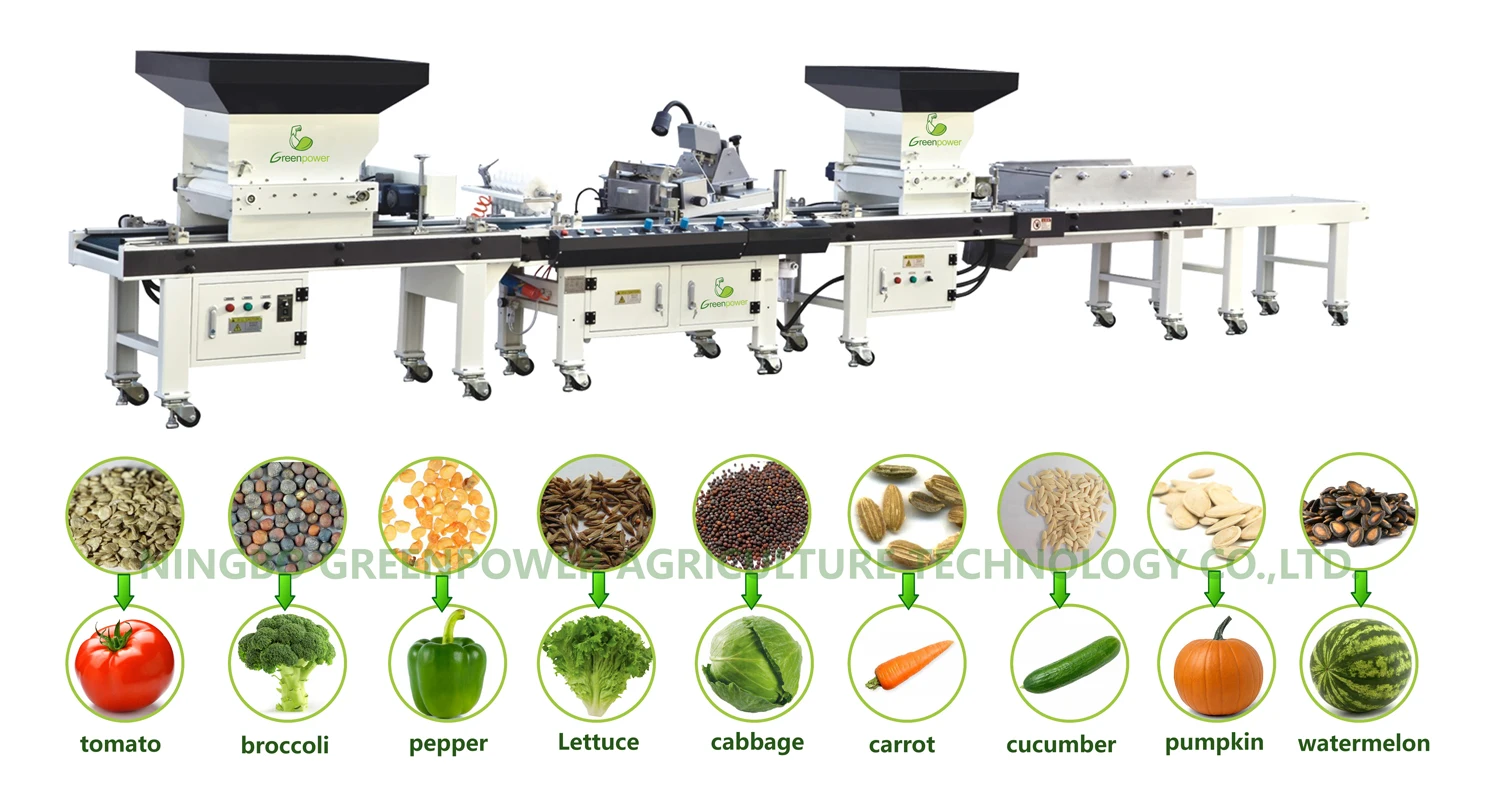 Automatic Vegetable Seeder Seed Sowing Machine Line For Seedling Tray ...