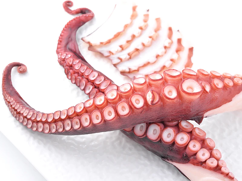 Wholesale Fresh Frozen Boiled Octopus Tentacle For Japanese Food - Buy ...