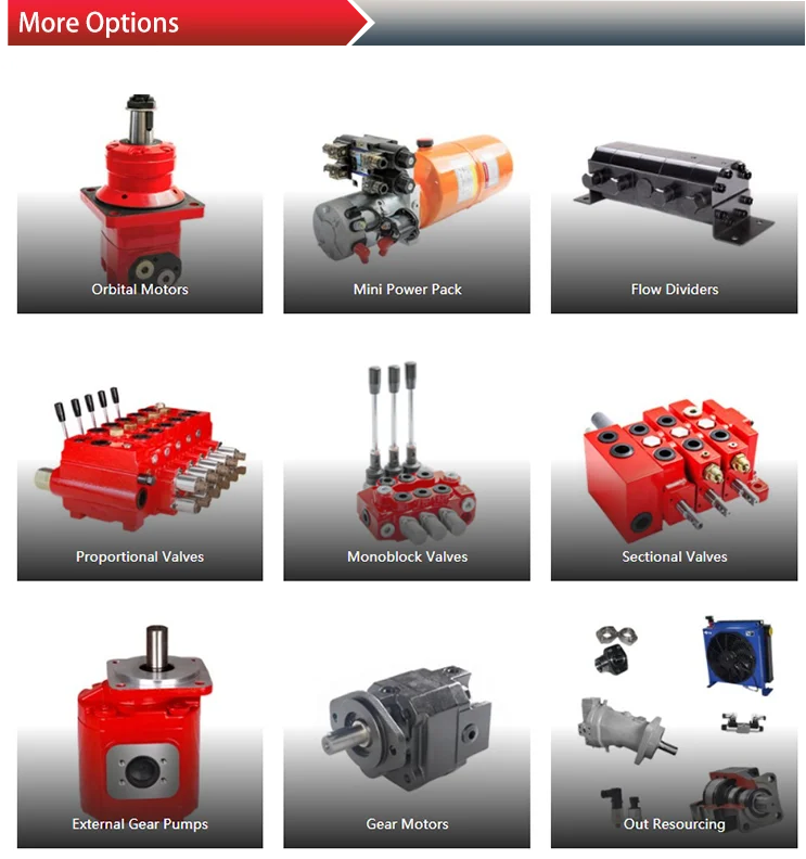 Gear Pump 91E71-10200 for High Pressure Hydraulic Applications