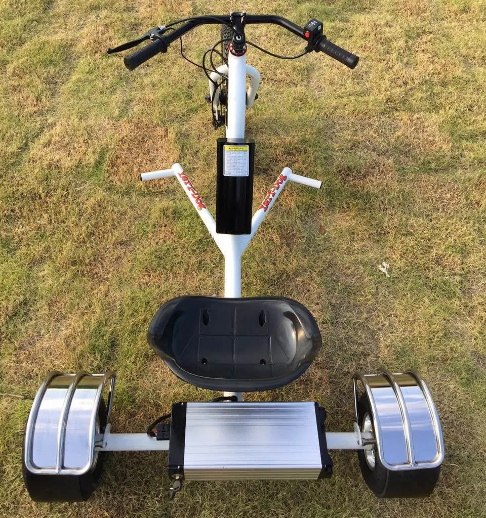 Funrun 1000W Brushless Motorized Electric Drift Trike CE Approved