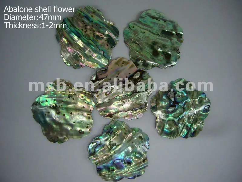 Round Cut Natural Green Abalone Shell Coin Blanks