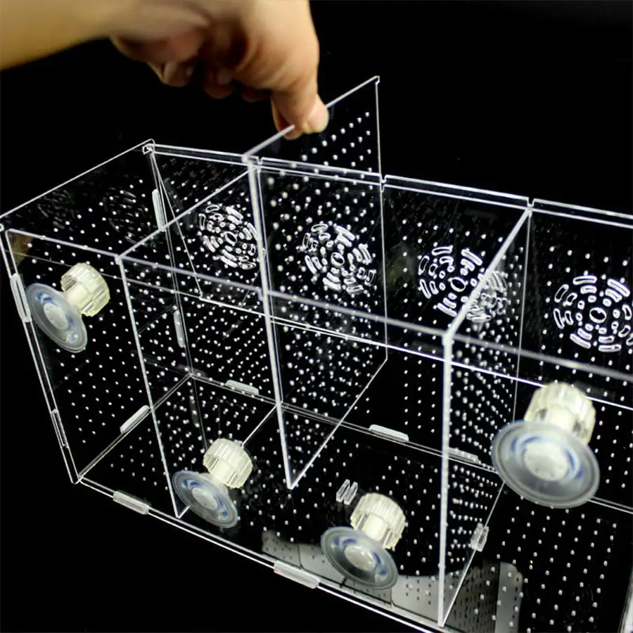 Customized Acrylic Aquarium Fish Breeding Box Transparent Acrylic Fish ...