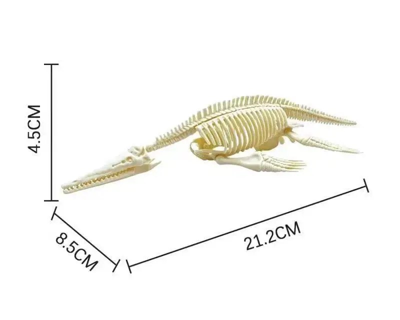 Dinosaur Fossil Skeleton Models - DIY Craft for Kids