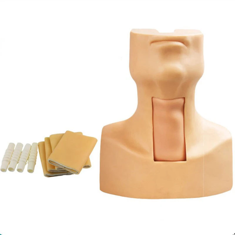 Advanced Tracheostomy Training Model for Medical Professionals