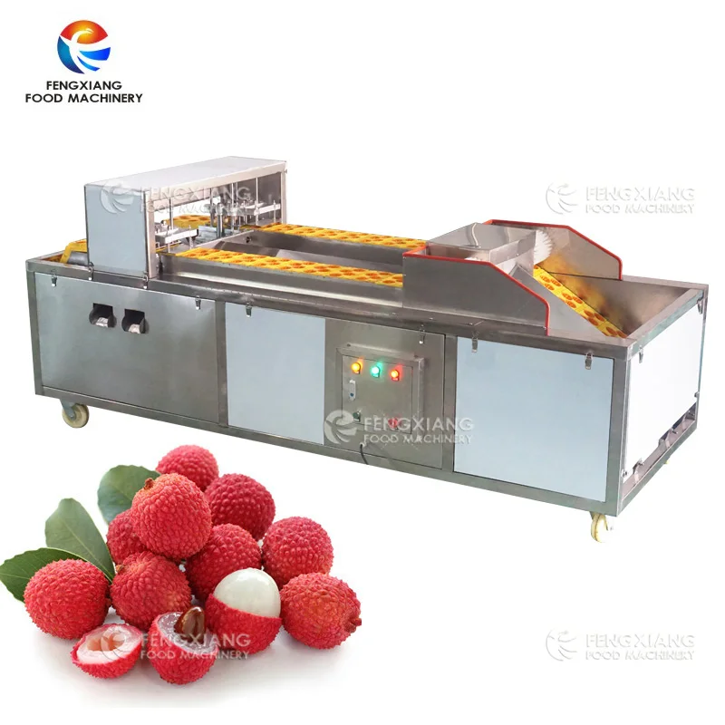 Efficient Lychee Core Remover - Industrial Fruit Pitting Machine