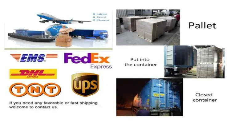 Biological Laboratory Use Durham Tube Small Catheter 6x30mm Glass ...