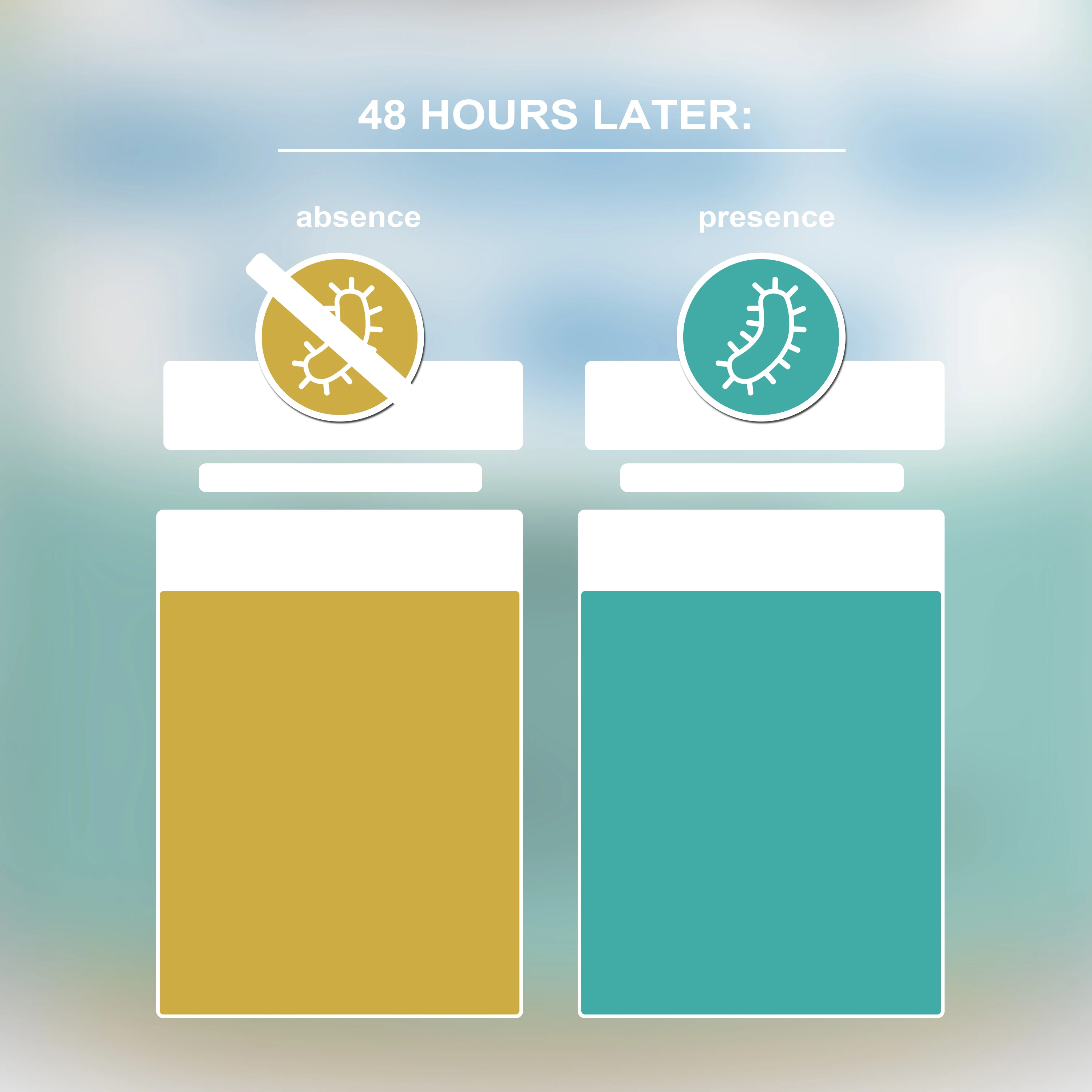 Bacteria Water Test Coliform Bacteria Drinking Water Test Kit Home Water Quality Test Buy