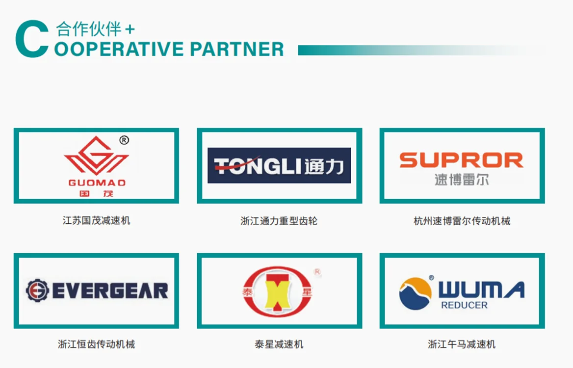 NFM CHANGZHOU NANFANG MOTOR - High Efficiency Electric Motors