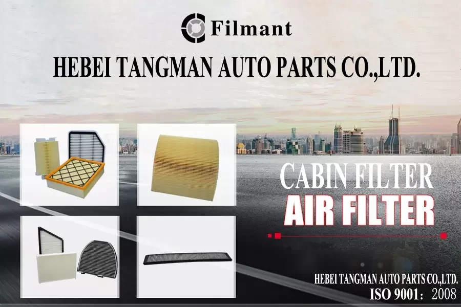 Filmant High Quality Active Carbon Filter for PORSCHE 971 819 429