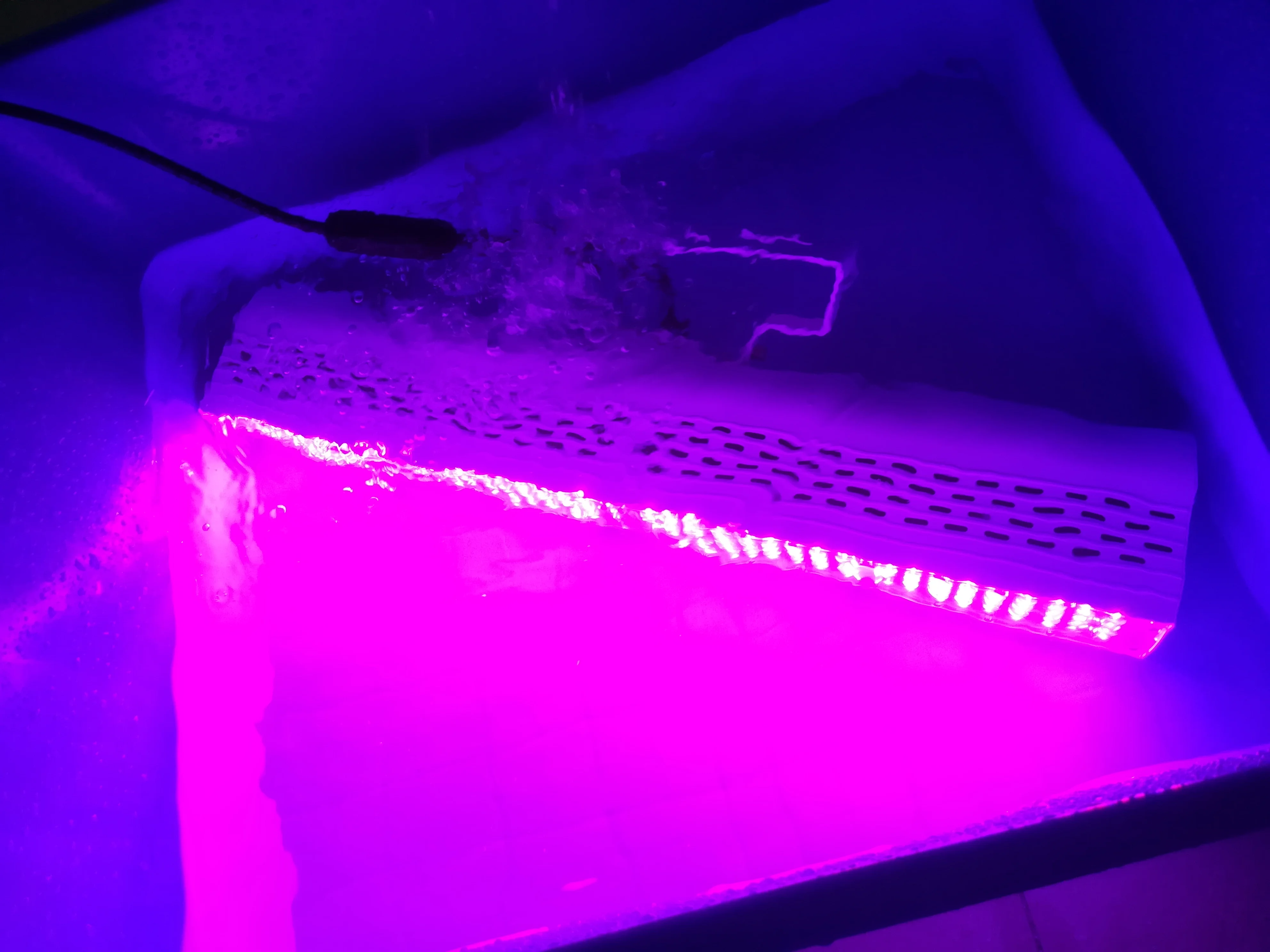 Multi Color Programmable Outdoor Decorative Projector 50W LED