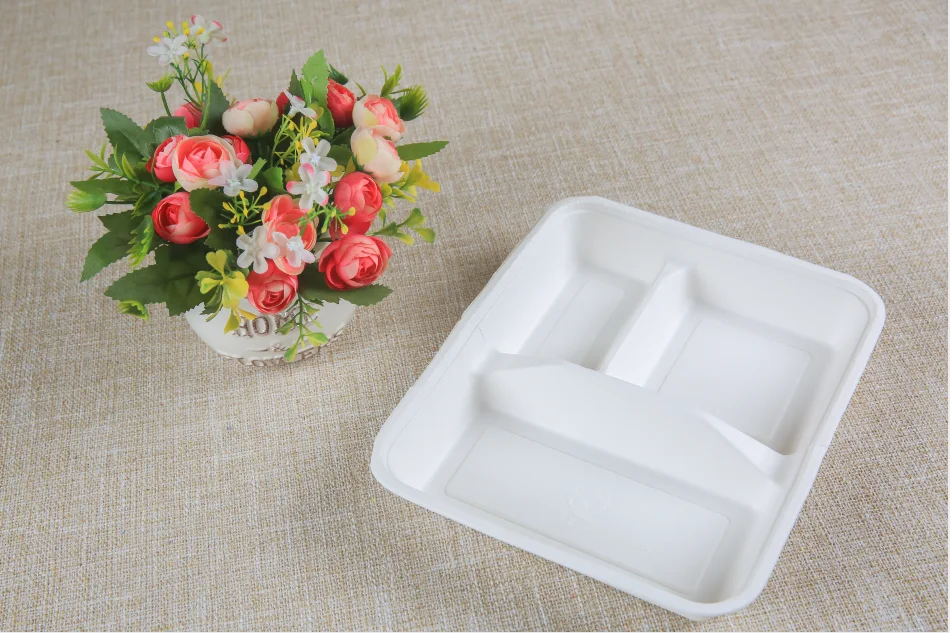 Luzhoupack Custom New And Safe Disposable Fiber Tableware 3 Compartment ...