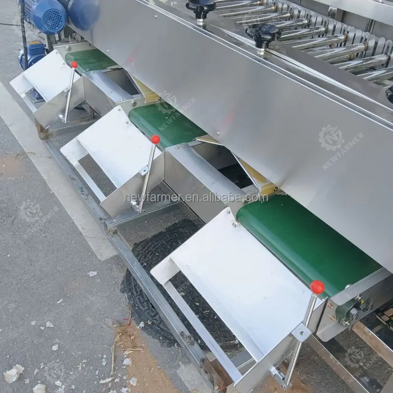 Potato Sorting Grading Machine Roller Grading Machine apple Sorter Grader for Veg and Fruit ...