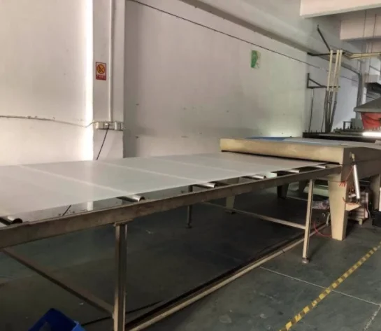 Chloroplast Plastic Board - Educational Model & Signage