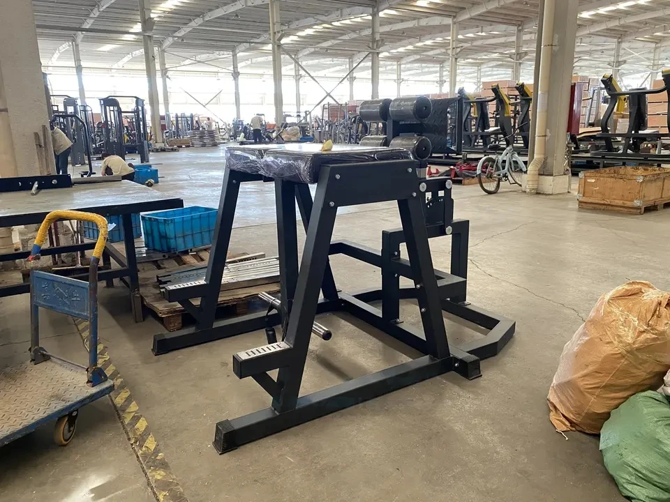 Commercial Plate Loaded Reverse Hyper Machine Hip Extension Exercise ...