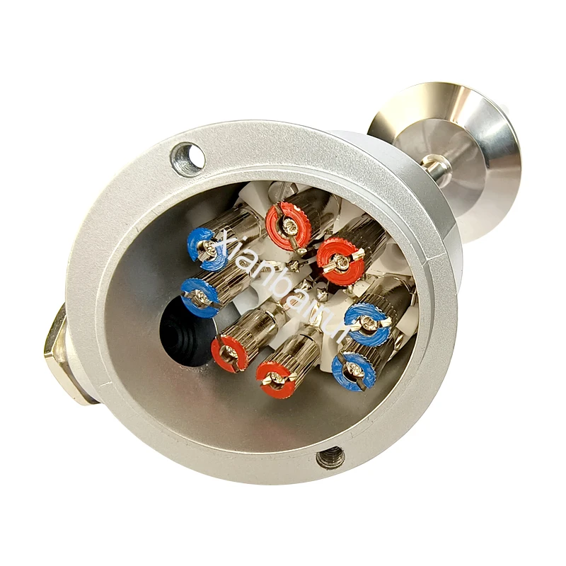 Hot Sale Needle Temperature Sensor Double Rtd Pt100 Sensor Double Four ...