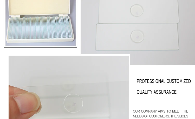 Parasite Slides Set Cyst of Giardia Lamblia W.M. Trophozoites