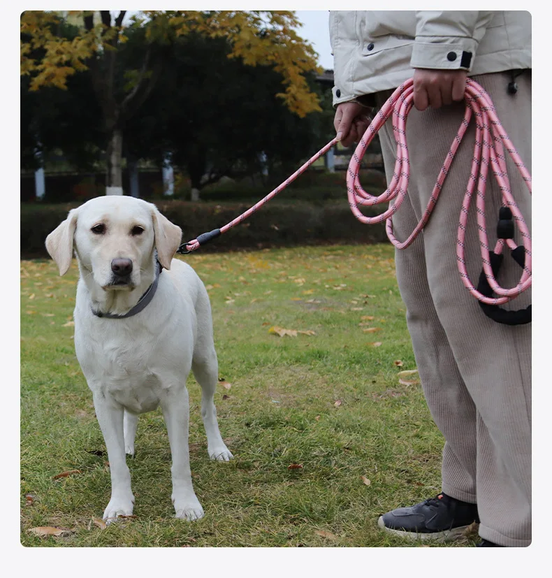 New Luxury Solid Pink Dog Leash 2025 Strong Heavy Duty PVC Rope 5m/8m ...