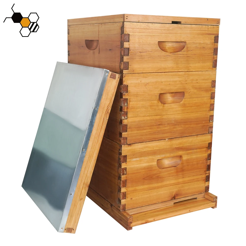 Hot Sale Wax Coated Wooden Bee Hive Complete Langstroth Beehive 10 ...