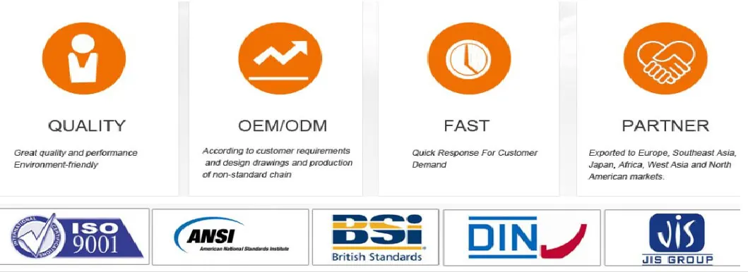 CC600 Conveyor Chain - Durable Stainless Steel Solutions