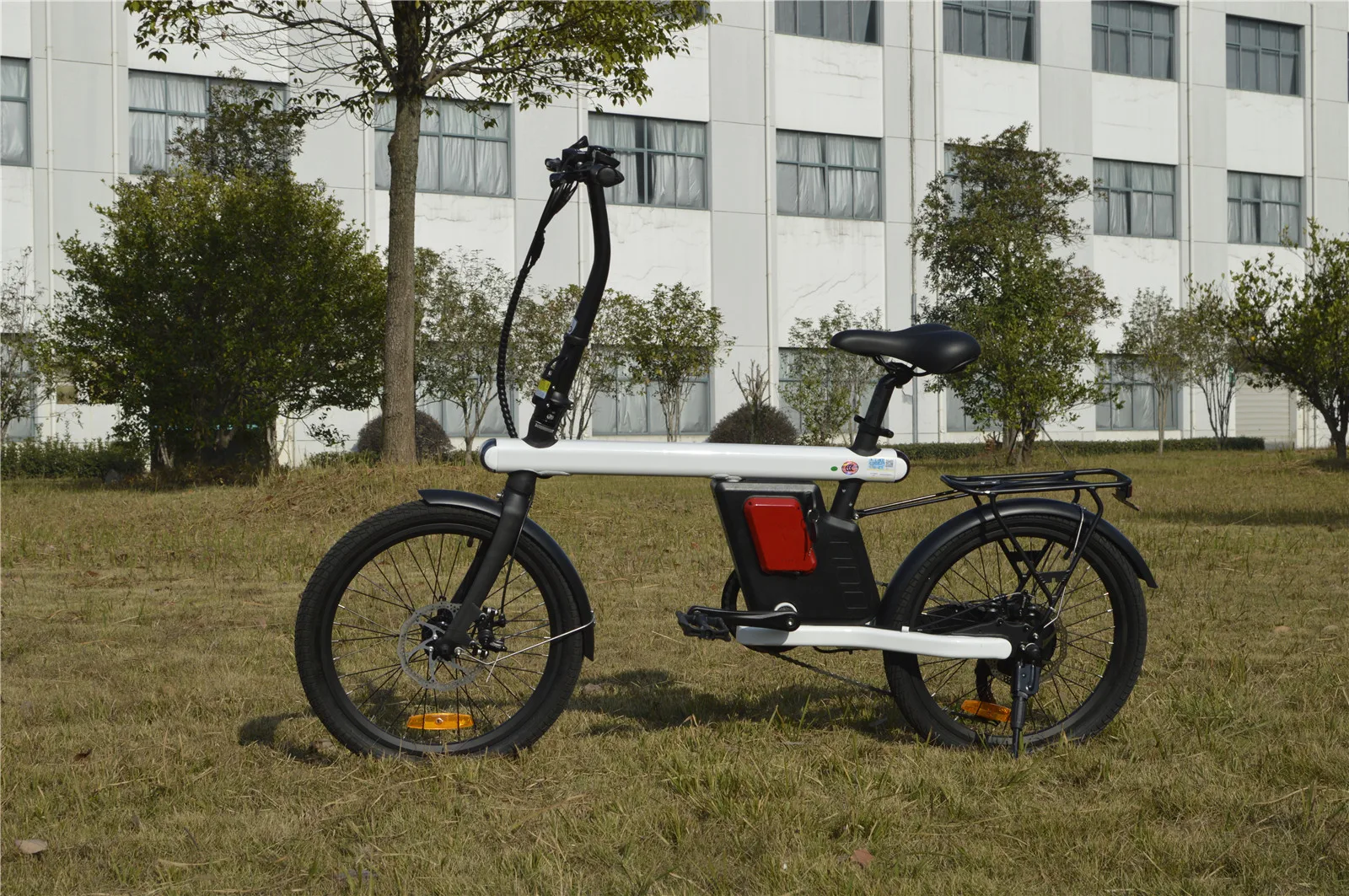 Z1 Speed Type E Bike Portable Motor Cycle Adult Electric Folding Bike ...